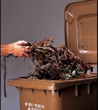 Brown Bin for Garden Waste